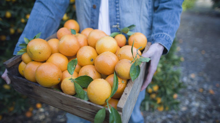 4 foods that have more vitamin C than oranges