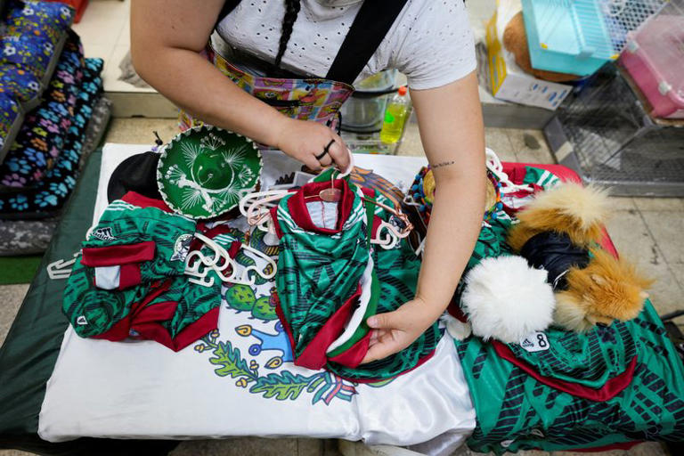 In Mexico, World Cup jerseys fit all shapes, sizes and species