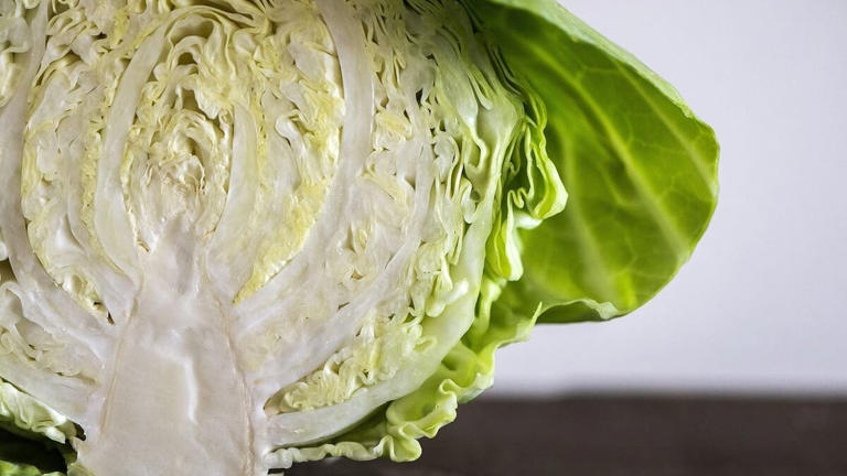 Cabbage: The overlooked superfood packed with health benefits