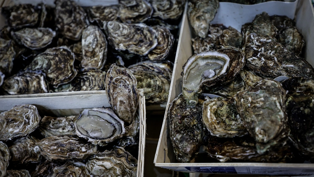 Safe storage and handling of live shellfish