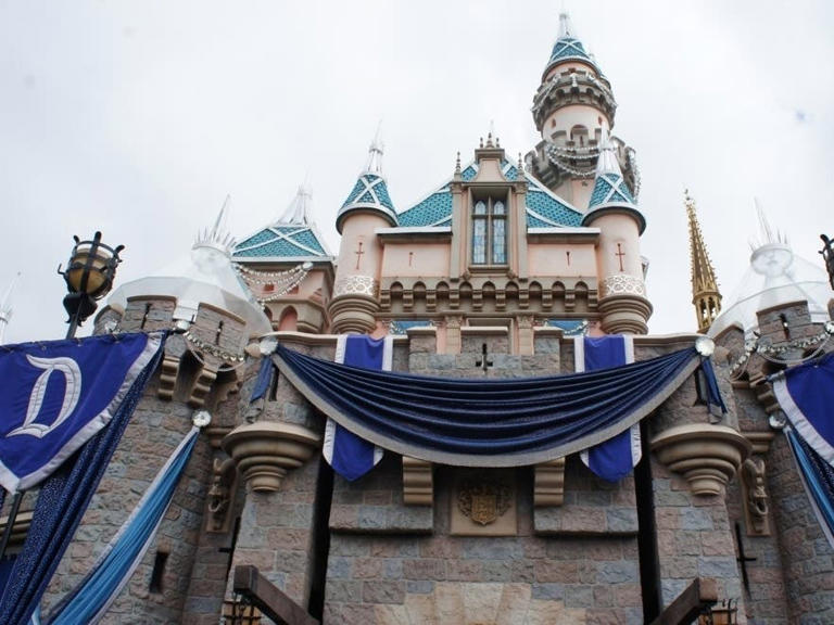 Disneyland visitor, 13, falls off ride's 50-foot drop