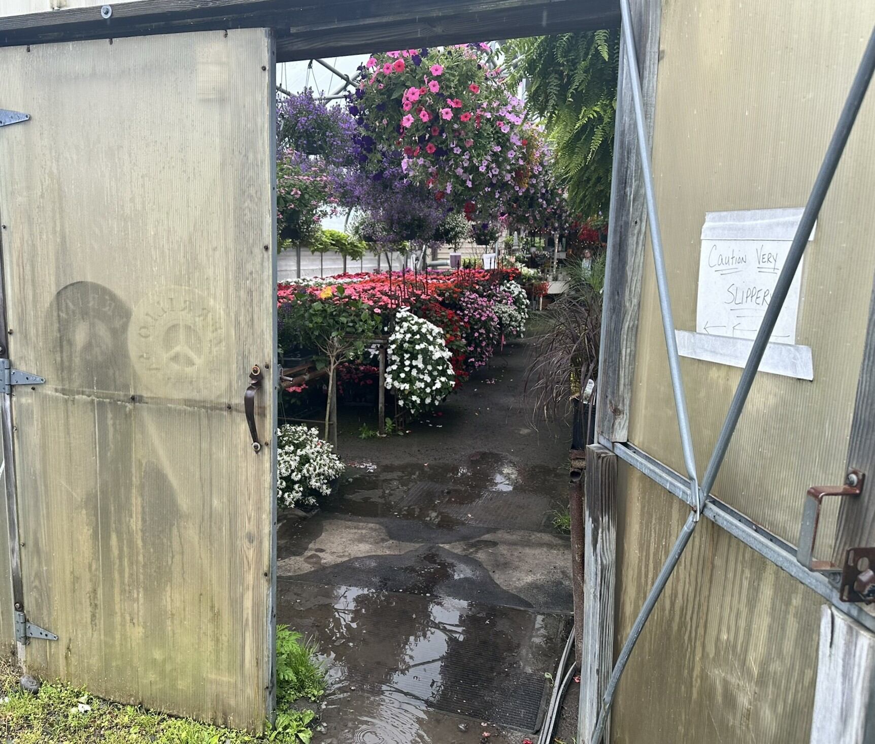 After 7 decades, CNY nursery says goodbye with gardening advice: 'Don't ...