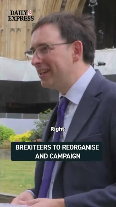 Brexiteers prepare to fight against rejoining the EU
