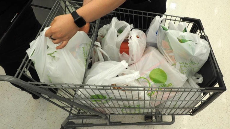 Florida one of 17 states suing to block California single-use plastics law