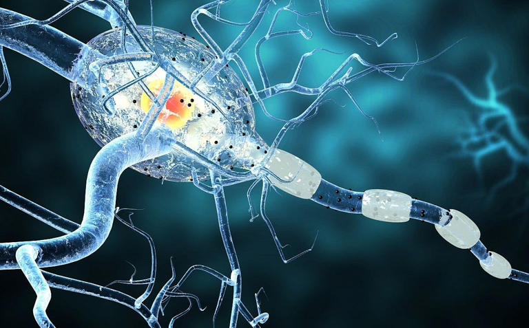 Prevalence of MS, motor neuron diseases, Parkinson disease increasing ...