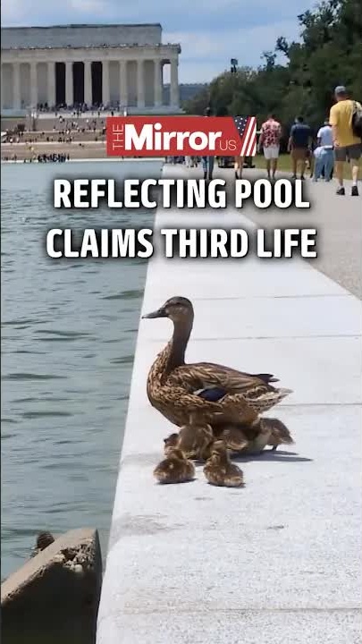 Reflecting pool death toll rises amid renovation concerns
