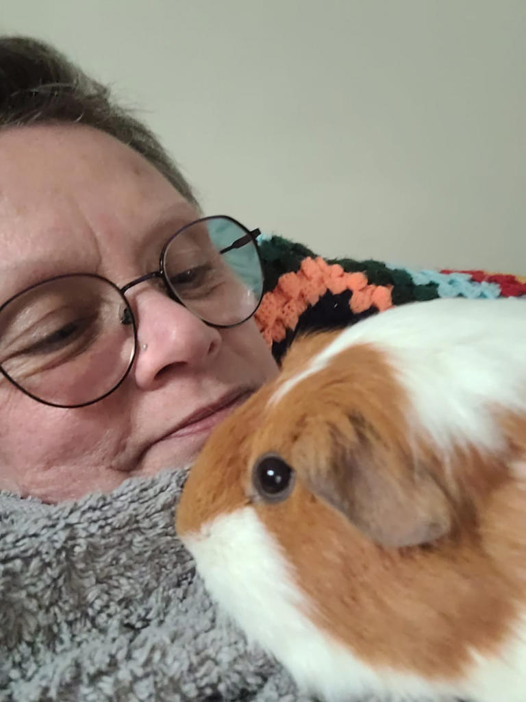 Blue Cross in Kimpton in urgent call for foster carers for pets