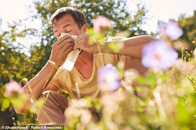 Experts reveal how to stop hay fever immediately - as Britain braces ...