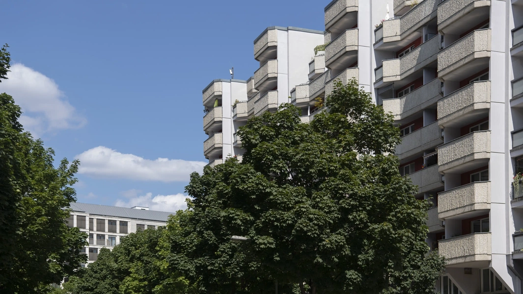 Urban trees and plants adapting to city life
