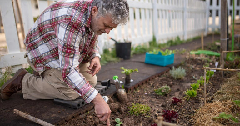 10 retirement habits that quietly separate the rich and happy from the ...