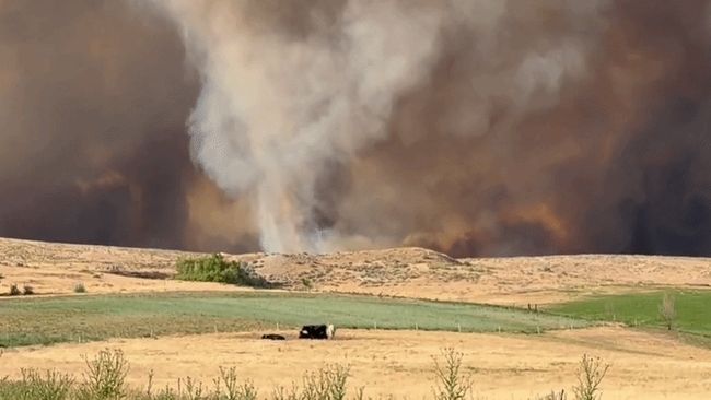 Smokenado Whirls as Aircraft Battle Oregon Wildfire