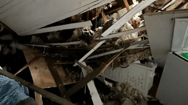 Trees from Monday's storms damage homes in Chickamauga, Chattanooga ...