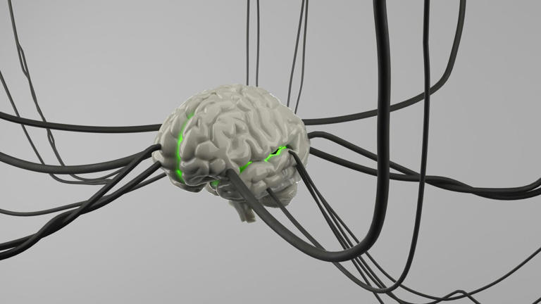 Forgetting may be the secret to better AI language learning
