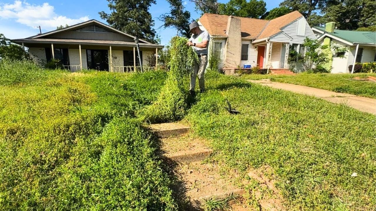 These hidden steps were asking to be revealed