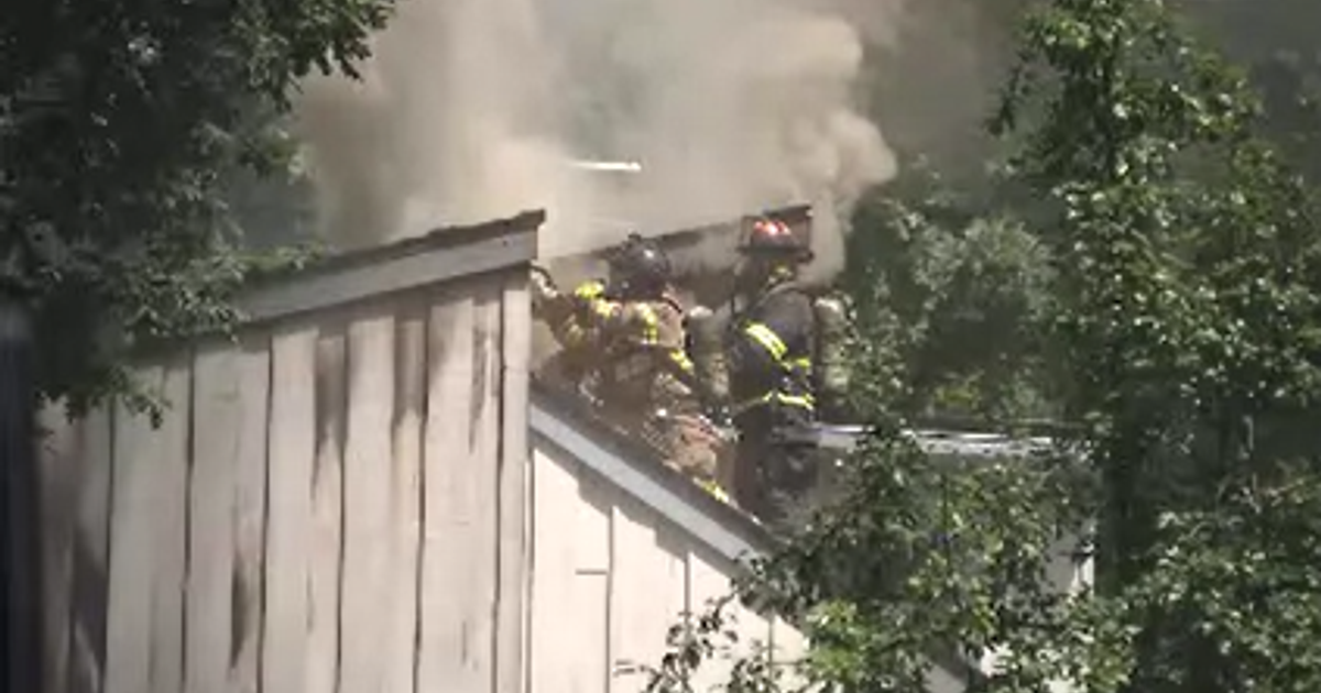 Multiple pets dead after Orange County homeowner said lightning struck home