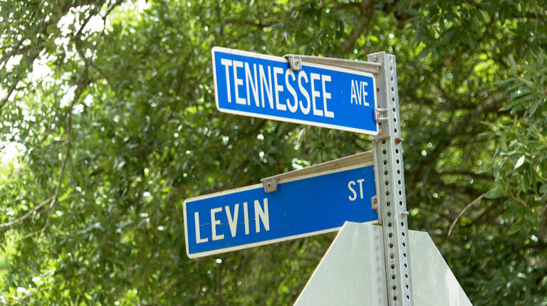 Man arrested for domestic abuse on Levin Street in Alexandria