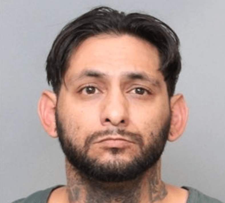 Santa Ana hit-and-run suspect taken into custody