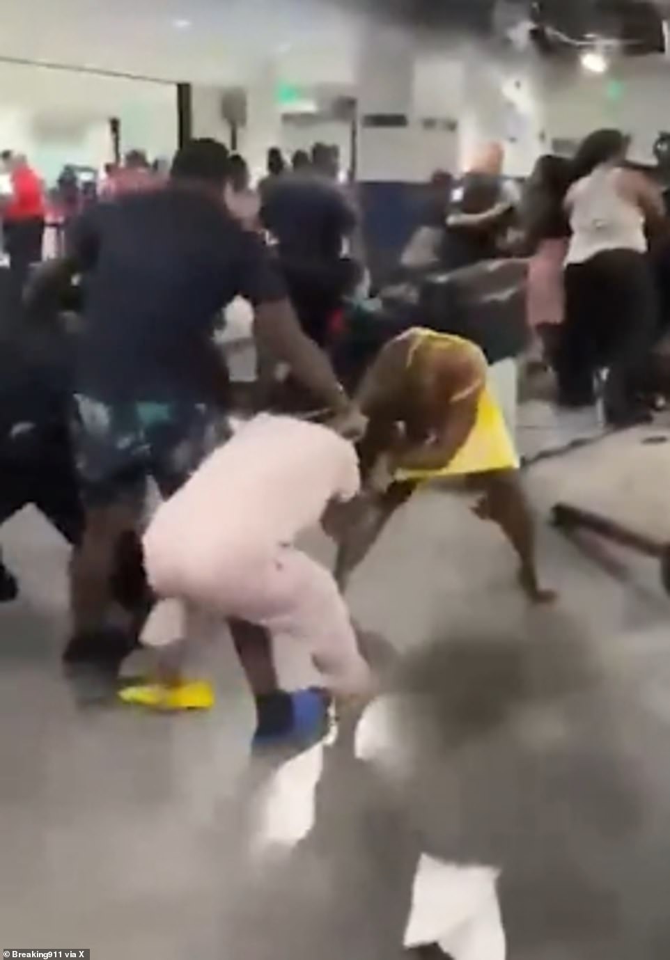 Carnival Cruise bans 16 after brawl erupts at Miami port
