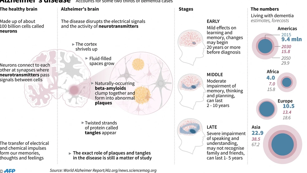 OLE molecule shows promise in Alzheimer’s research