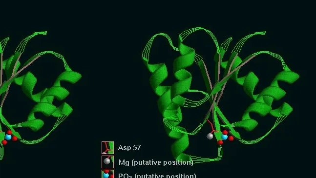 Ancient protein networks and human health
