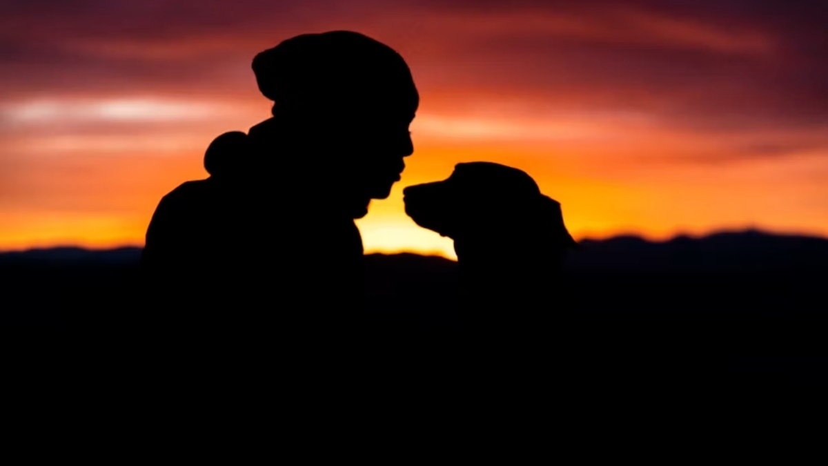 Are you your dog's favorite human? Science says dogs do have favorite ...
