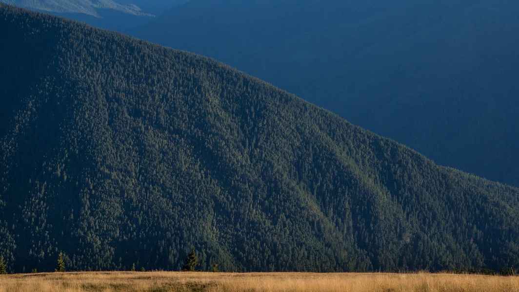 Exploring Olympic National Park's secluded wonders