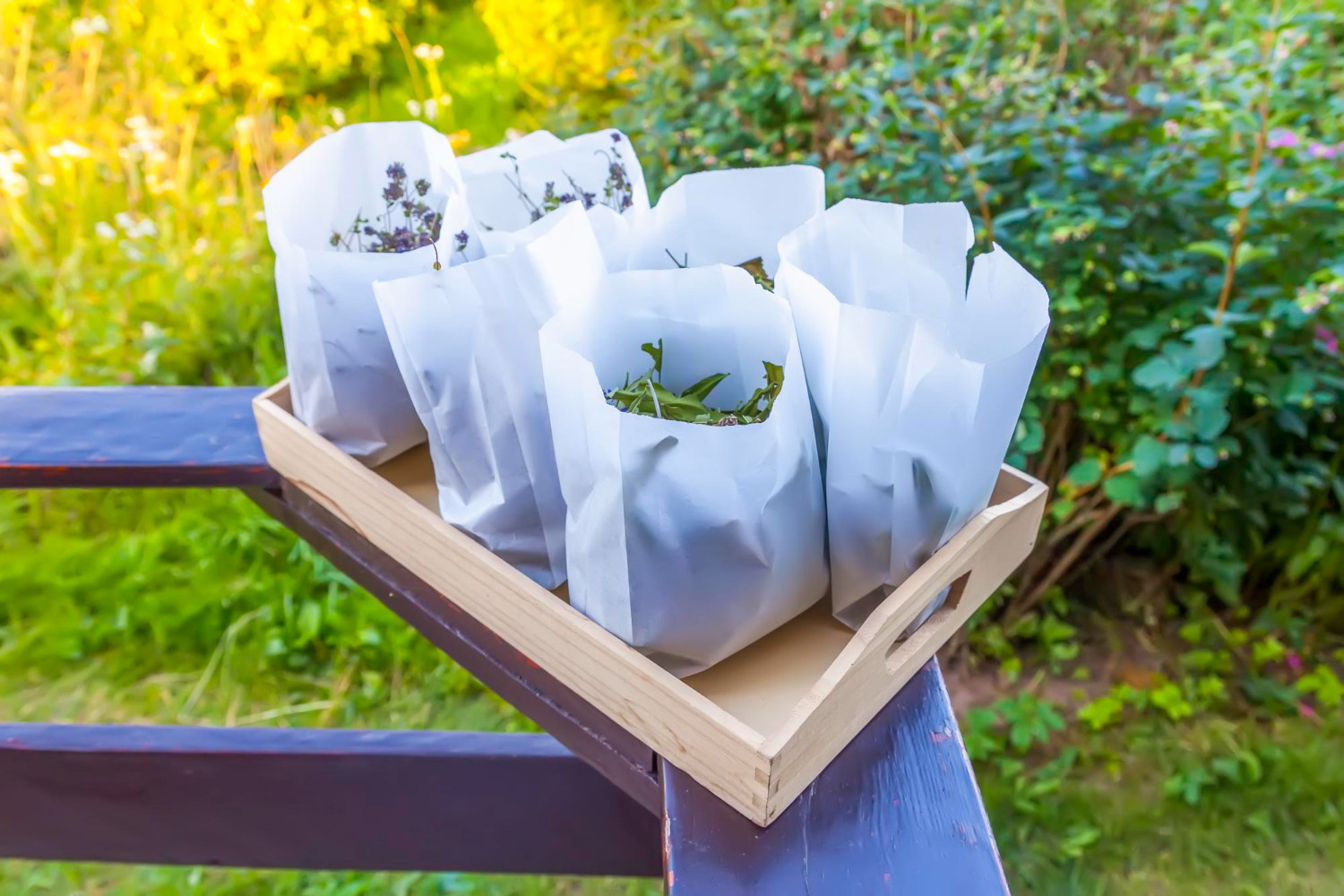 10 foods US Customs will confiscate when you fly home in 2026