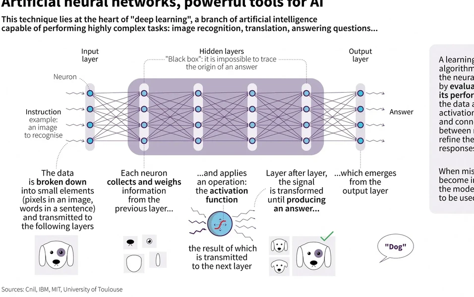 AI models excel in language but falter on cognitive control