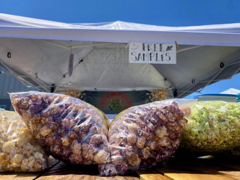 Allen County Fair returns this week