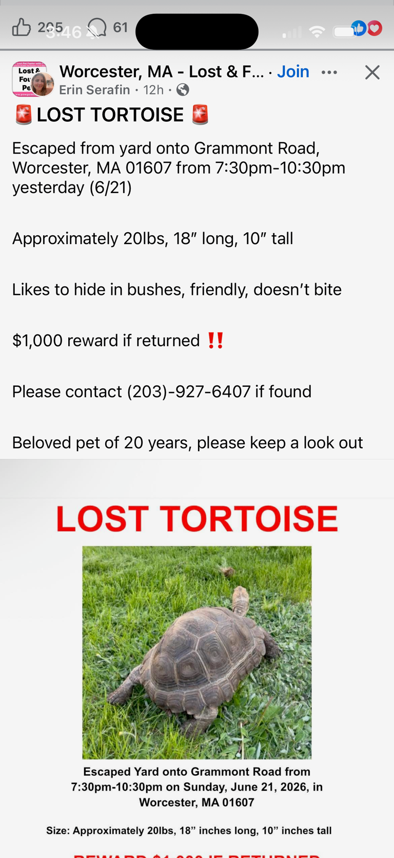 Worcester man offers $1,000 reward for missing pet tortoise