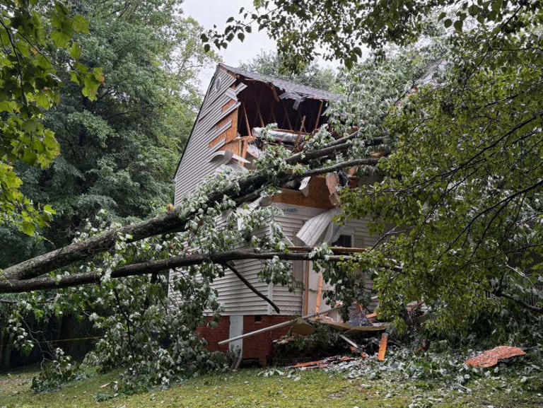 Photos: Storms cause significant damage to Prince George homes