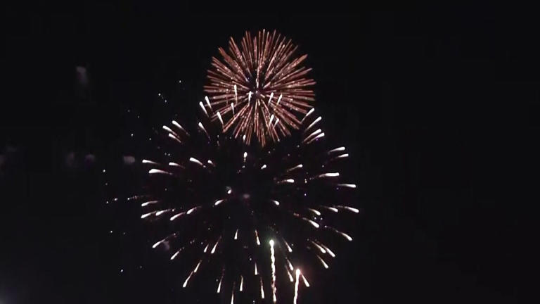 Toledo City Council passes safety zone ordinance for Fourth of July ...