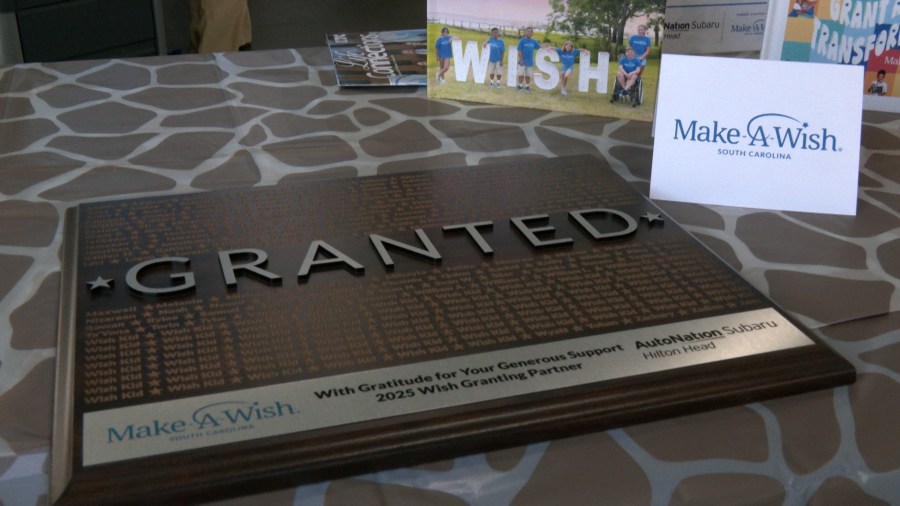 Make-A-Wish South Carolina grants trip to local girl who battled cancer
