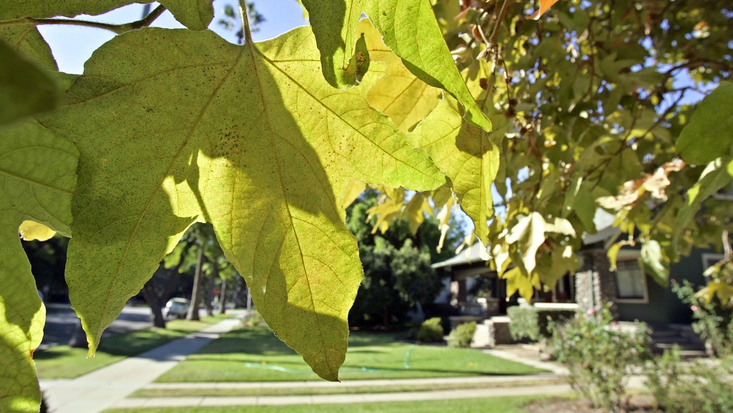 Historic landmarks and green spaces of South Pasadena