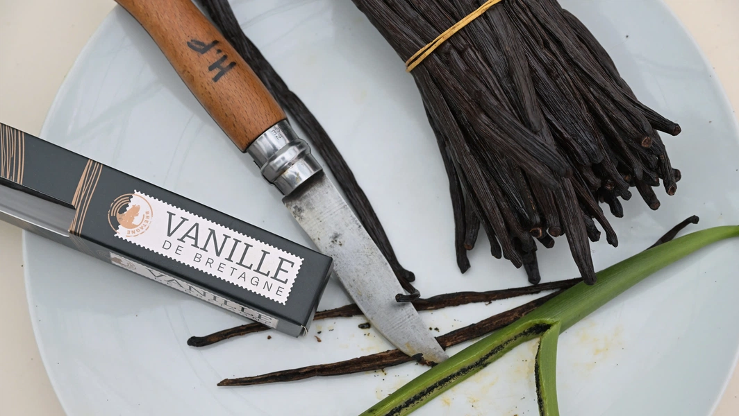 Origins and flavor of French vanilla