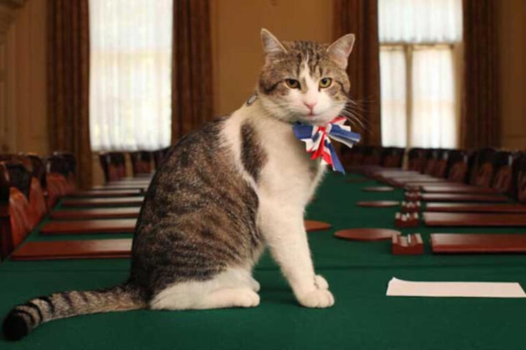 UK's chief mouser Larry faces seventh prime minister