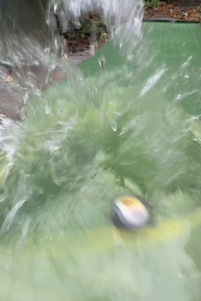 Minion flooded my garden