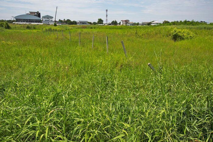 Small airport land leases extended