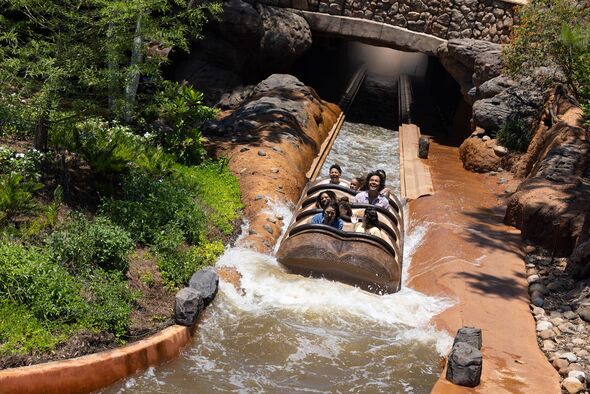 Disneyland horror as boy, 13, falls 50ft on Tiana's Bayou Adventure ride