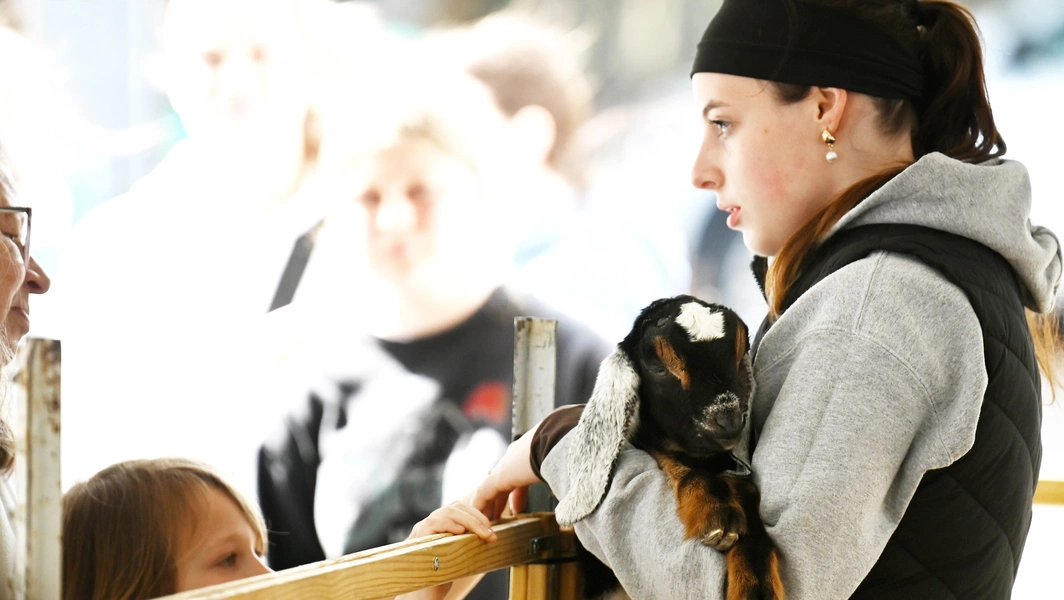 The benefits and practice of baby goat therapy