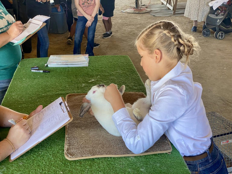 Allen County Fair returns this week