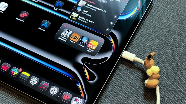 The Reason Why European iPads Don't Come With A Charger In The Box