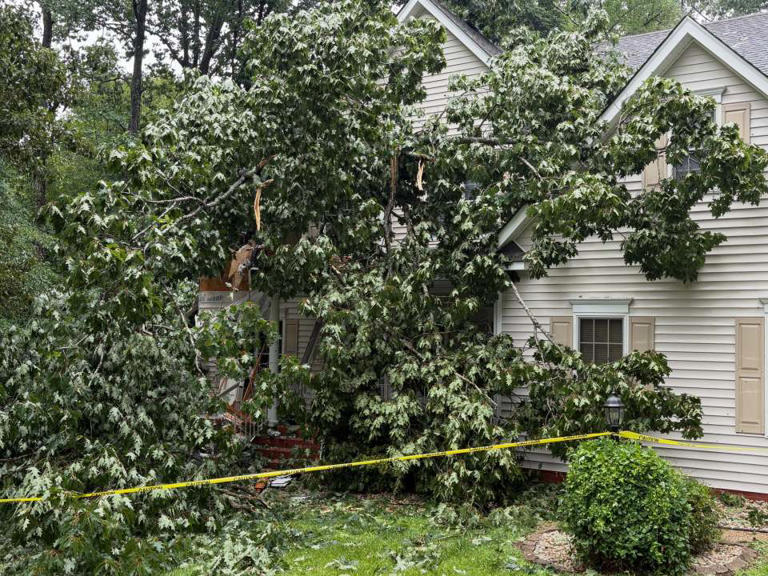 Photos: Storms cause significant damage to Prince George homes