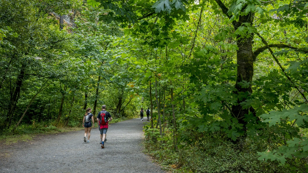 Forest Park Conservancy’s stewardship and community impact