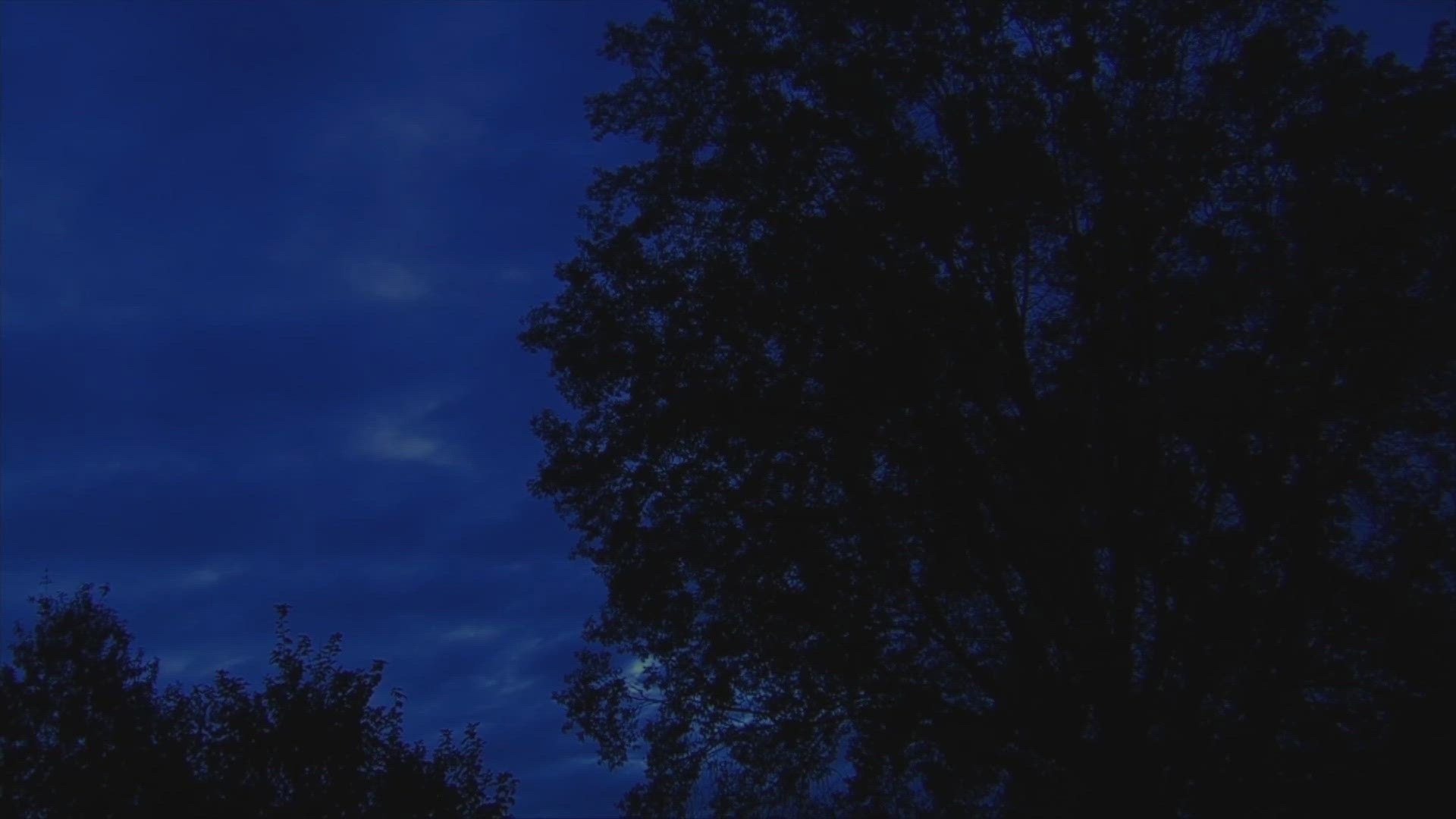 Do you fall asleep quickly? You might have a sleeping disorder, experts say