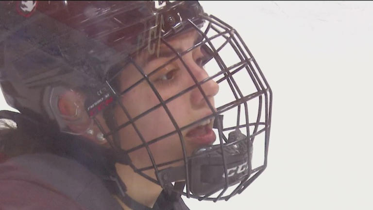 ‘A dream come true’: East Haven’s Constantinople goes pro with PWHL