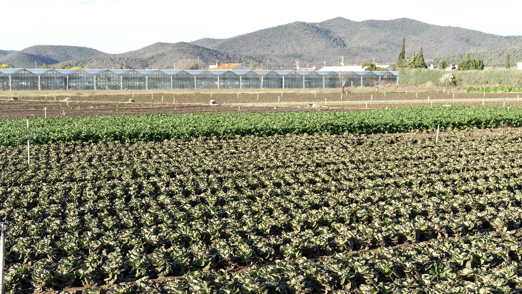 Healthy soils for farms, communities, and ecosystems