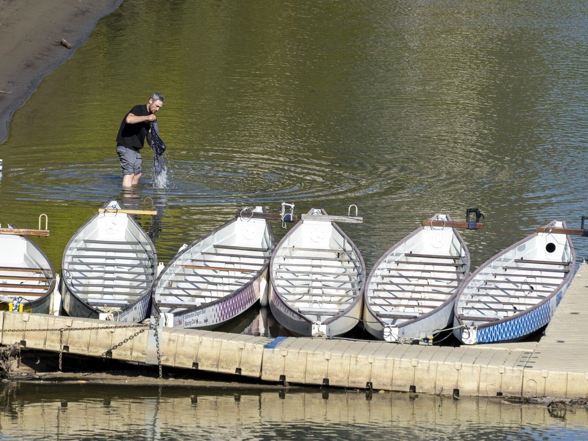 Dragon boats lost to rising river water: Club asks for public's help in ...