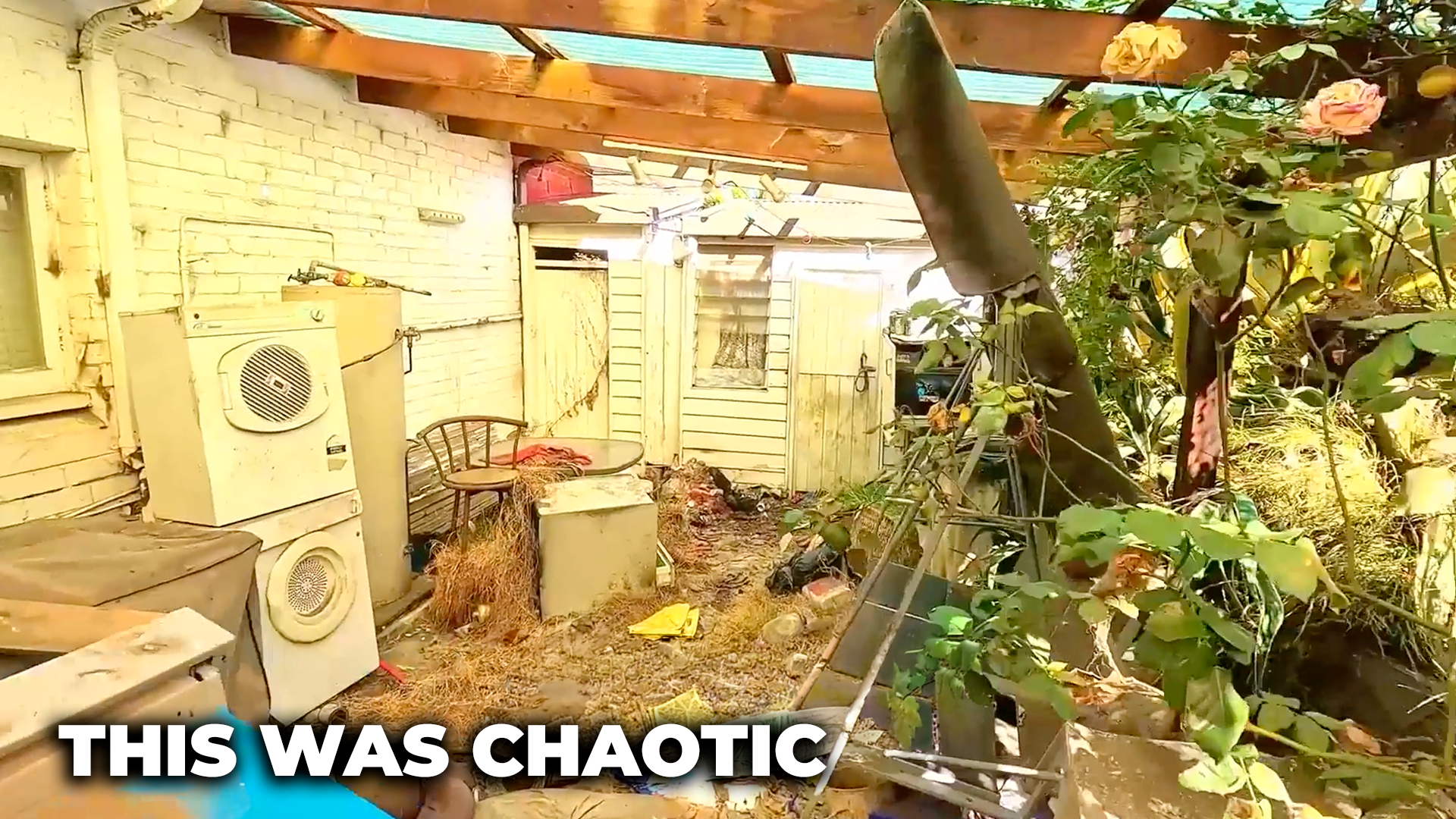 A shocking find in this hoarder house