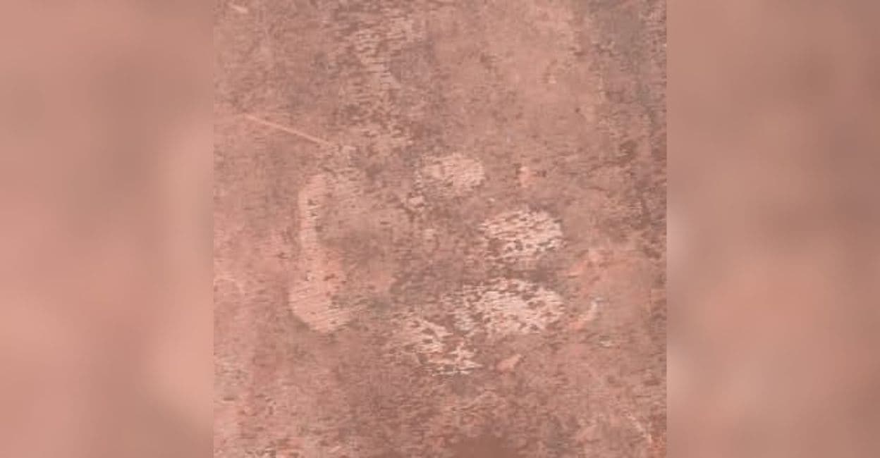 Leopard paw prints found in Idukki village already gripped by tiger fear